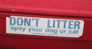 bumper stickers | Centers And Squares