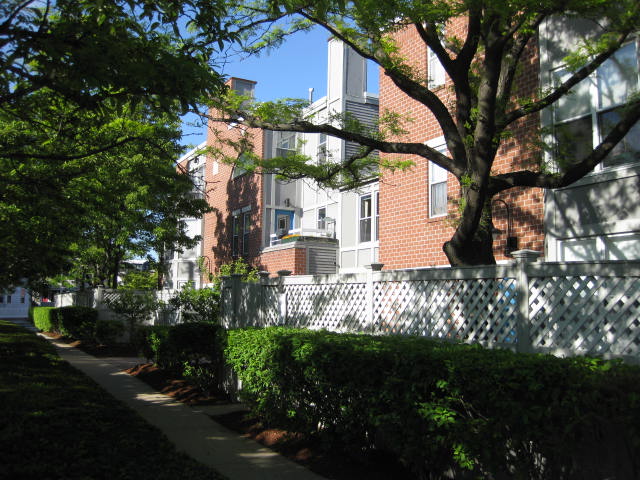 Cambridge Condos - Cambridgeport Commons | Centers And Squares