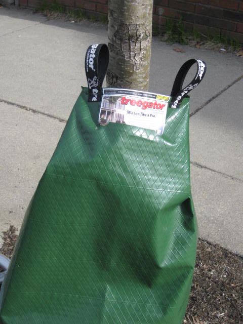 Treegator - Watering Solution for Cambridge Street Trees | Centers And ...