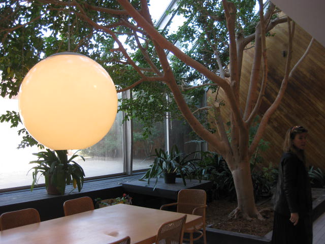 Cambridge House With A Tree In The Middle | Centers And Squares